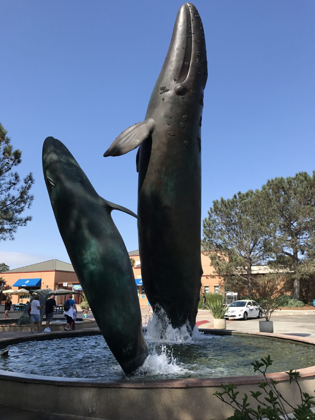 Birch Aquarium at Scripps - Amazing Travels