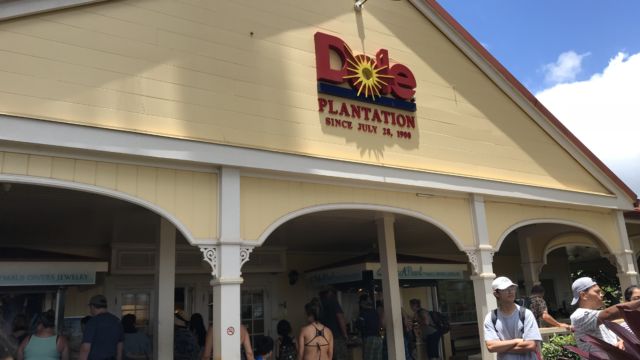 Dole Plantation Tour - Amazing Travels